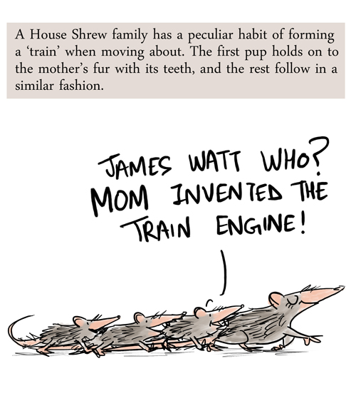 Green Humour: September 2017