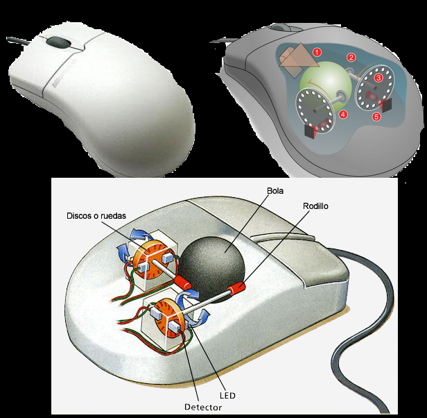 Informatica Horizontes: El Mouse