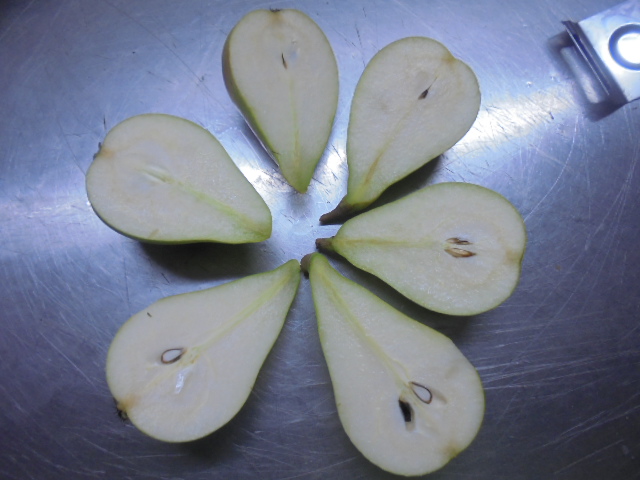 El mundo del Marine Surveyor (Capt.V.Massey): Pera Coscia / Ercolini