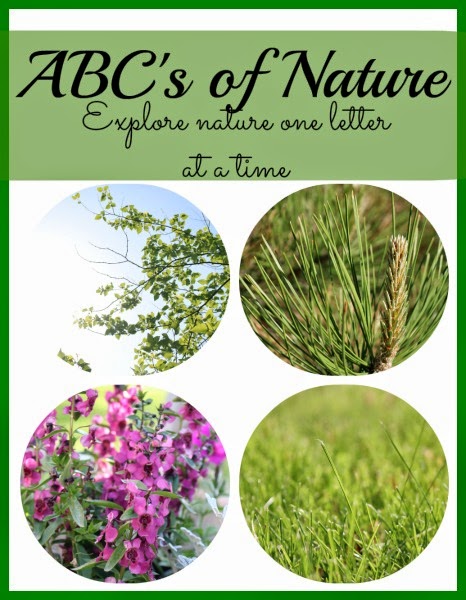 Nature ABC's Series | School Time Snippets
