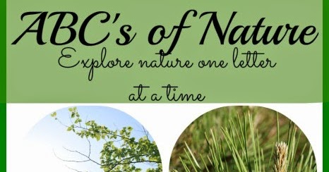 Nature ABC's Series | School Time Snippets