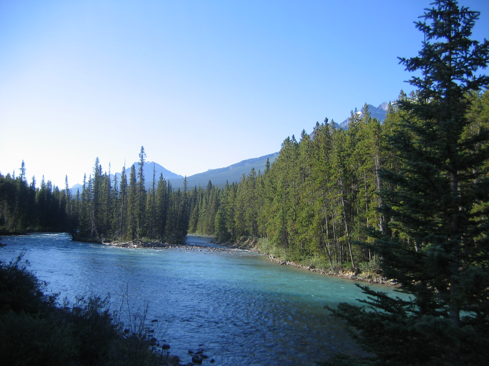 Wanderlust: Banff National Park: Bow River Loop Trail
