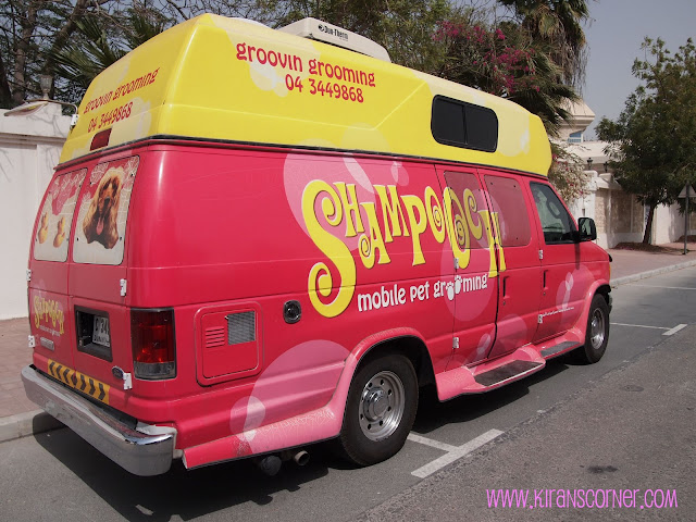 Kiran's Corner: Review of "Shampooch"- Mobile Dog Grooming!
