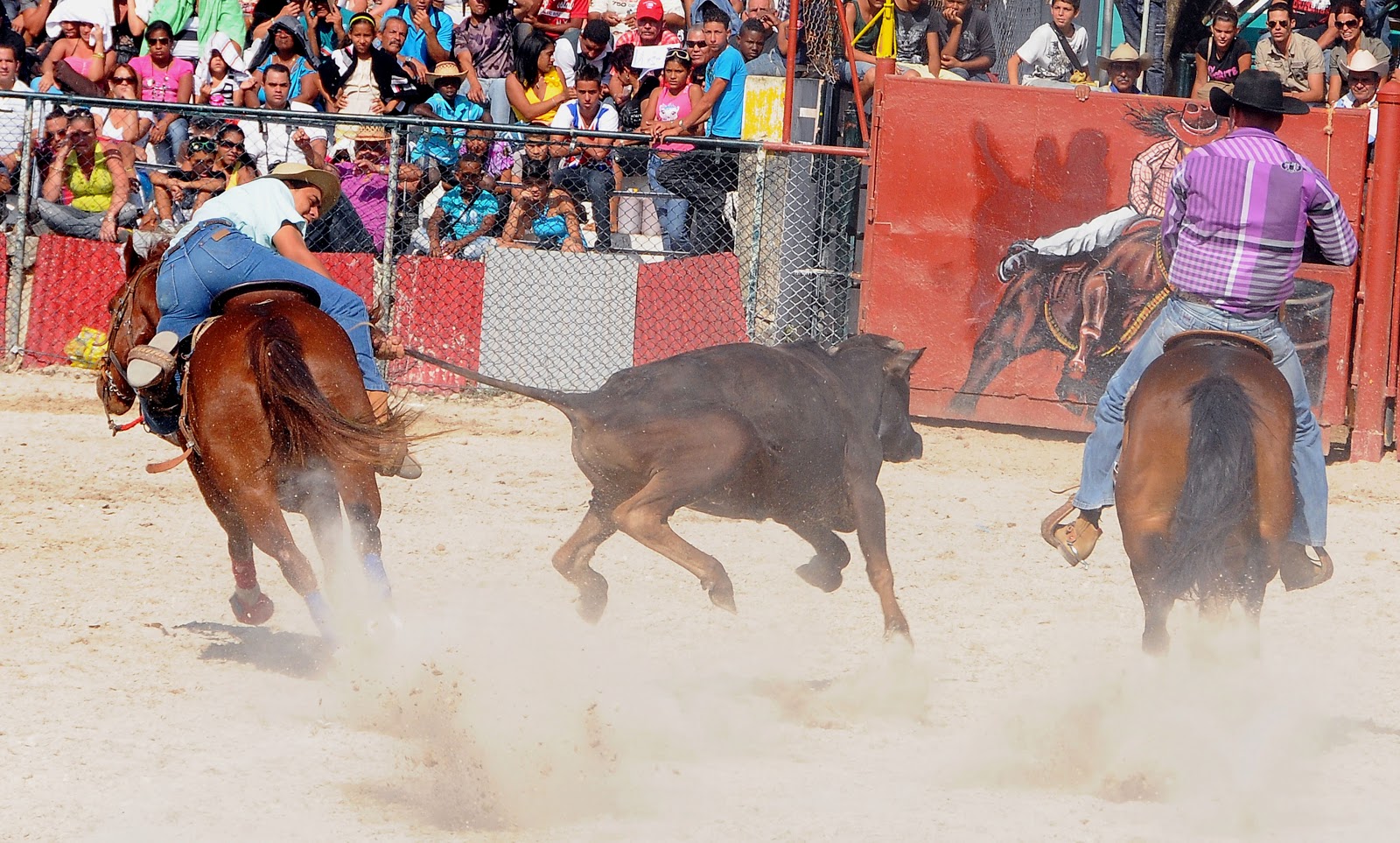 El ojo que te ve: EL RODEO CUBANO VIVE
