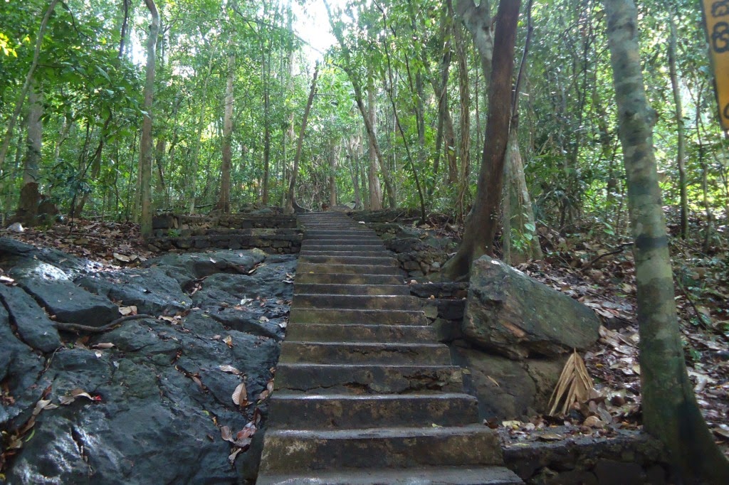 harithacharika - Travelling Nature in Sri Lanka: Dombagaskanda ...