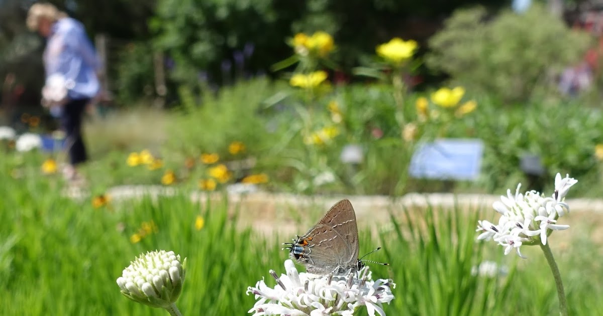 Bug Eric: Any Questions?