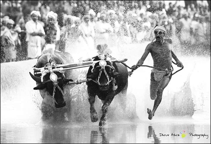 Tulunad Culture and Tradition