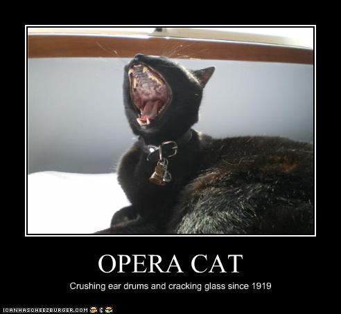 The Operacats: Other operacats (lol-cats)