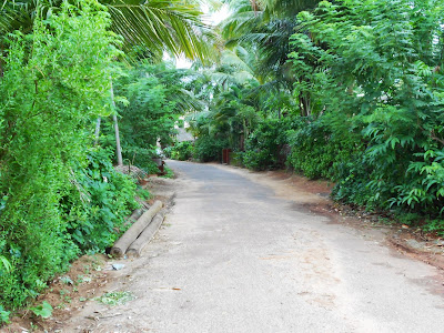 Travel and food tales: Nivati fishing village