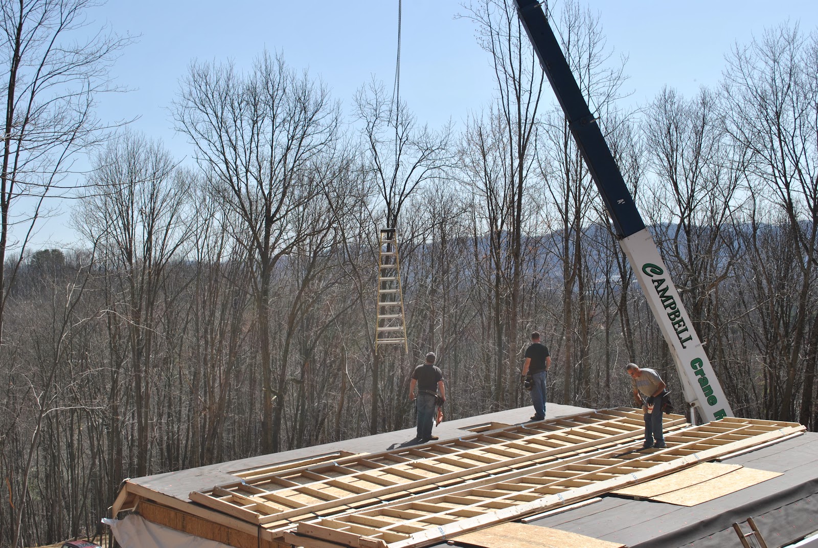 Our New House: Raising the Roof