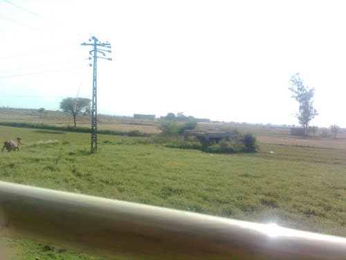 SULEHRI`S SECRETARIAT: CHAWINDA,"GRAVEYARD OF TANKS" TEHSIL PASRUR ...