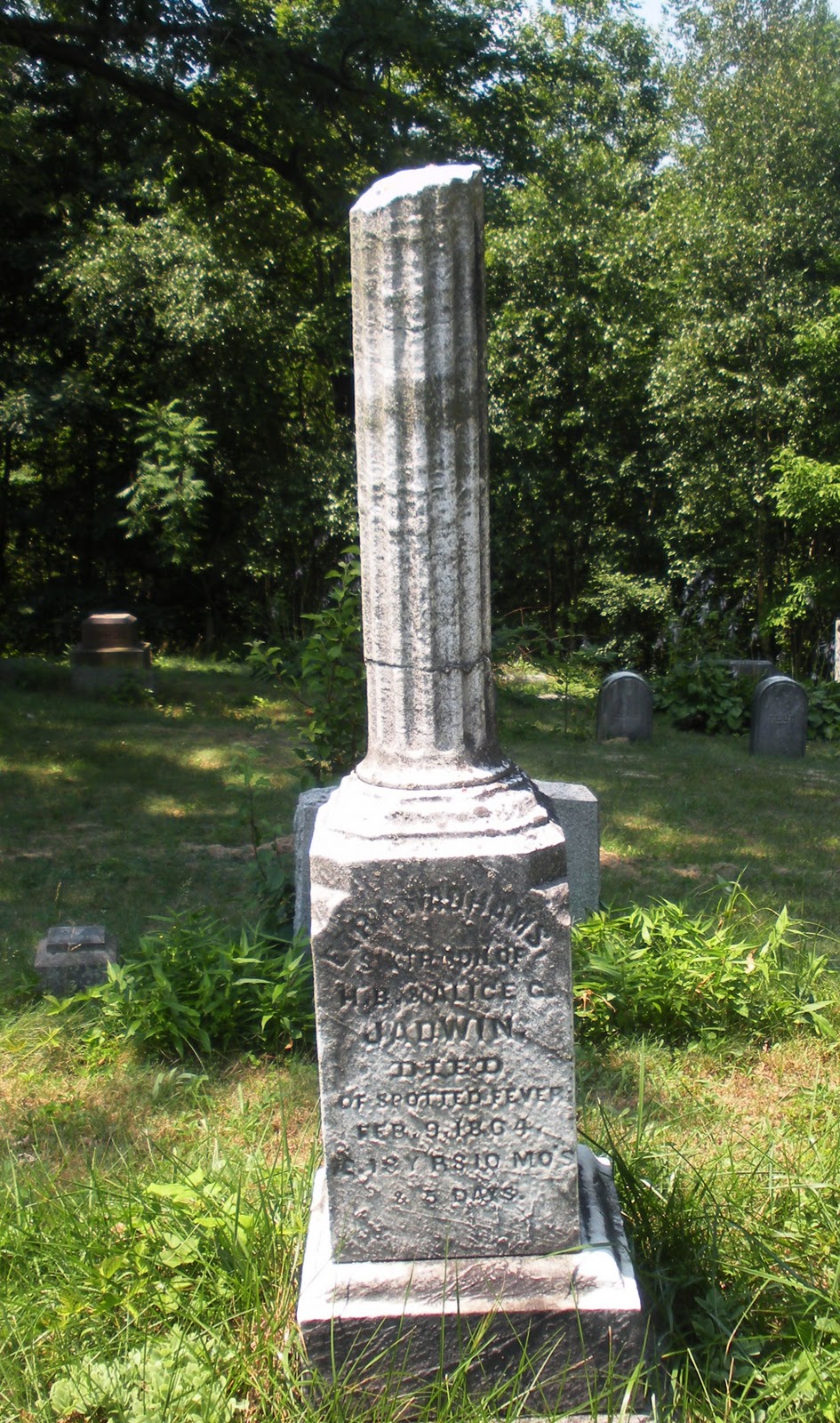 Engraved: : The Stately Column…Broken By Death