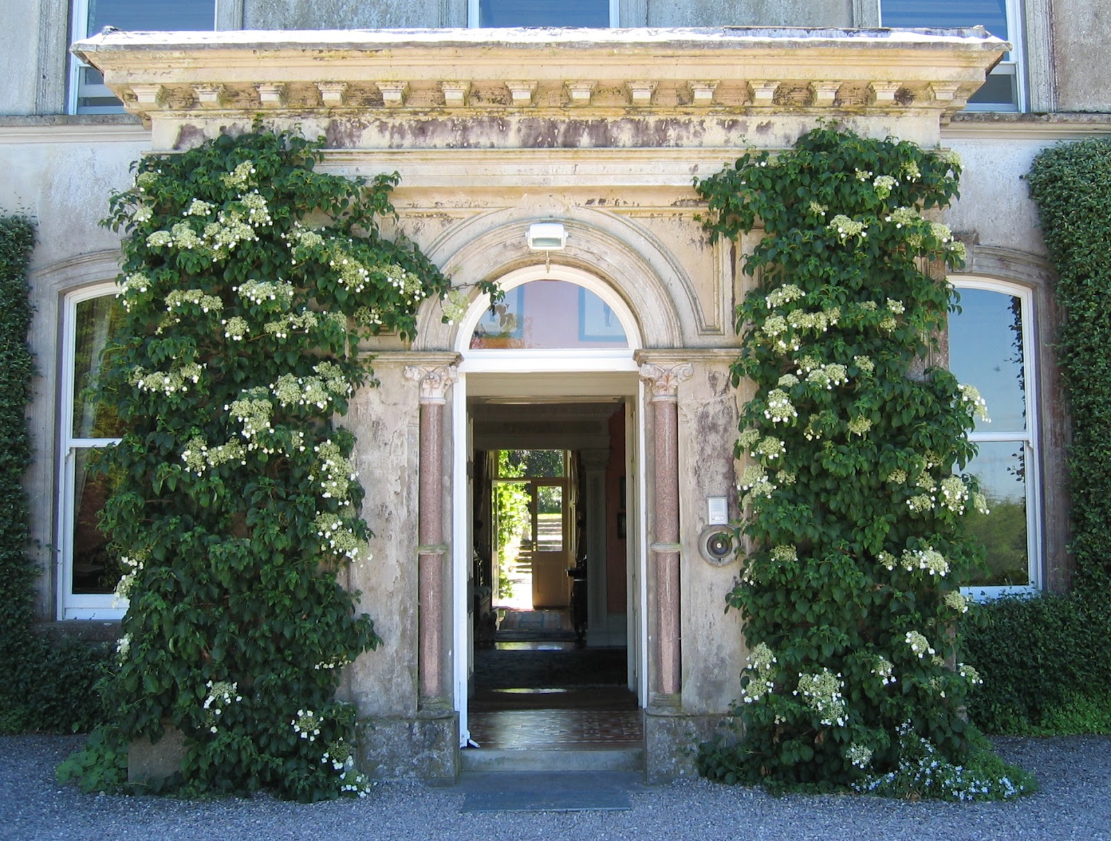 loveisspeed.......: Ballyvolane House, County Cork İreland to stay......