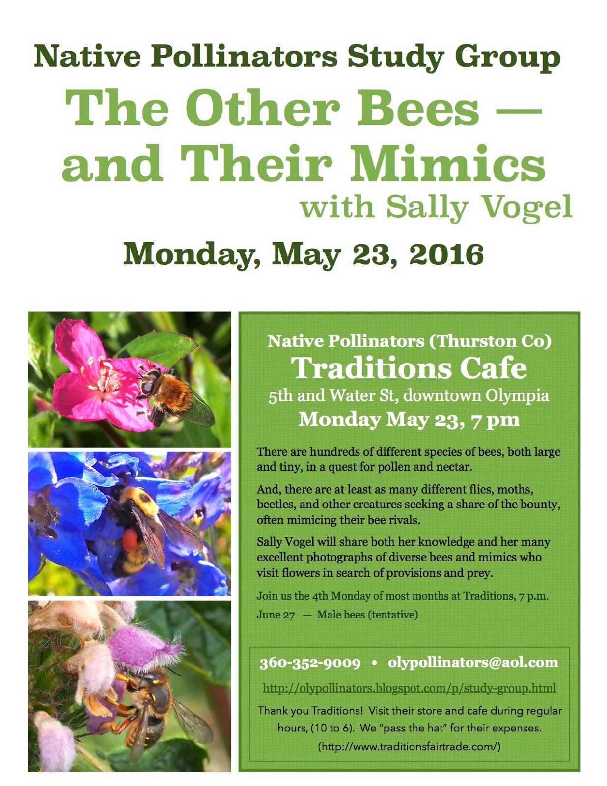 Bees, Birds & Butterflies: Monthly Pollinator Study Group Posters