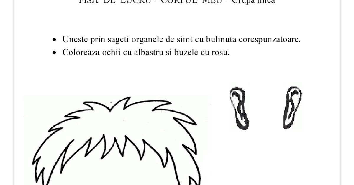 Fise de lucru - gradinita: FISE DE LUCRU - EU SI CORPUL MEU / FISE CU ...