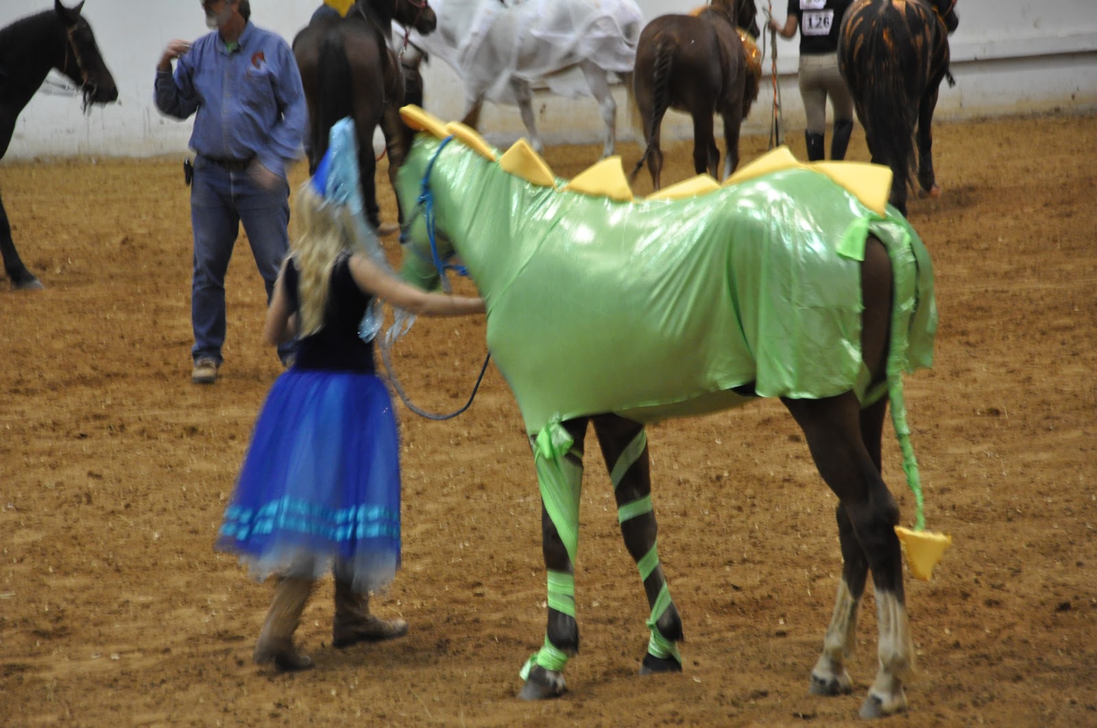 Michelle Deden Mustang Makeover: Wild Horse and Burro Expo 2012!