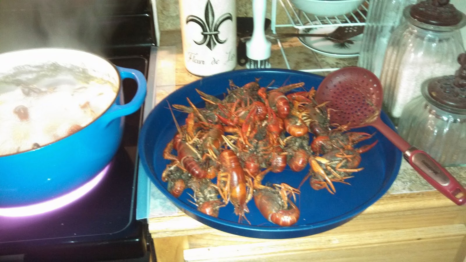 The Cajun life of Victor Vautrot: Crawfishing 2014! The Vautrot ...