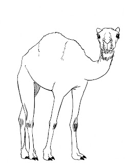 How to draw a Camel?? | Drawing Lessons