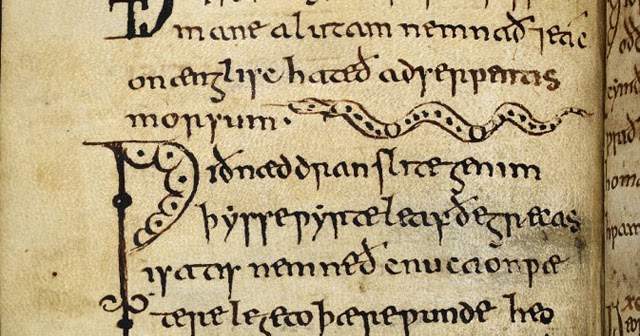 Antica Europa - Storia, Leggende e Tradizioni: Lacnunga - Incanti degli ...