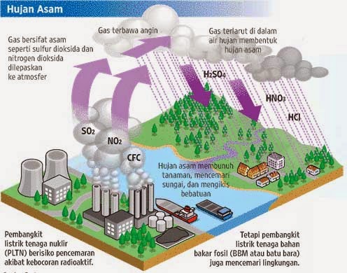 Hujan Asam (Rain Acid) - Taman Bahasa Indonesia #smkn23jkt