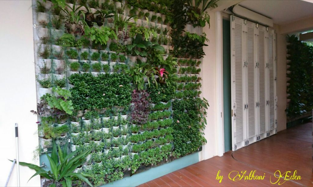 10 Desain Terbaru Taman Gantung Untuk Rumah Minimalis Dengan Konsep Alami