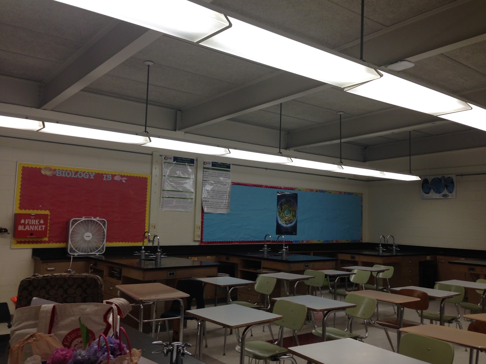 behind the leopard glasses: schoolsssss out for evaaaaaaa