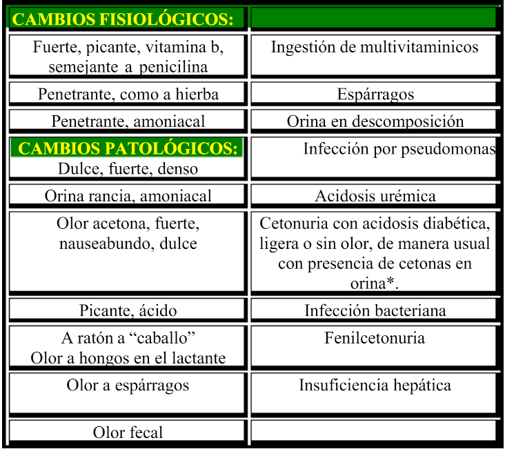 Laboratorio Clinico: Examen general de orina ( E.GO.)