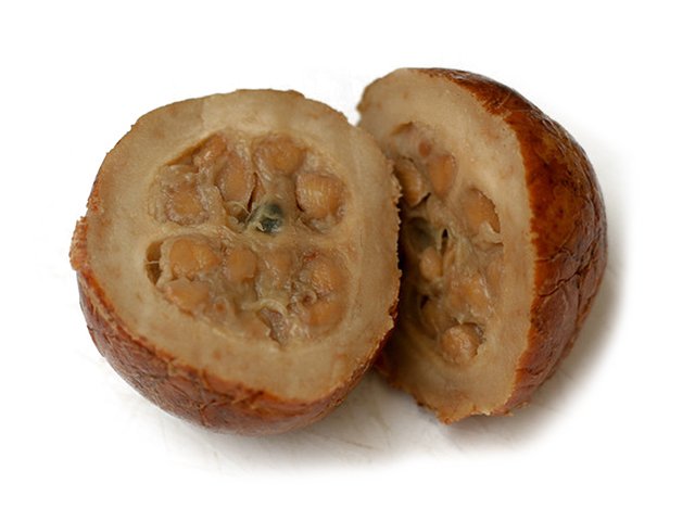 Jenipapo (Genipa americana) | Green Nature Brazil