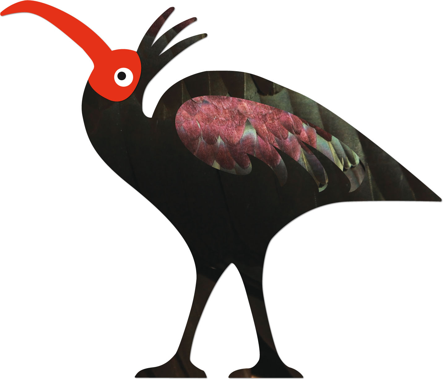 Rebecca Sutherland: Marwell Zoo Animals and Map