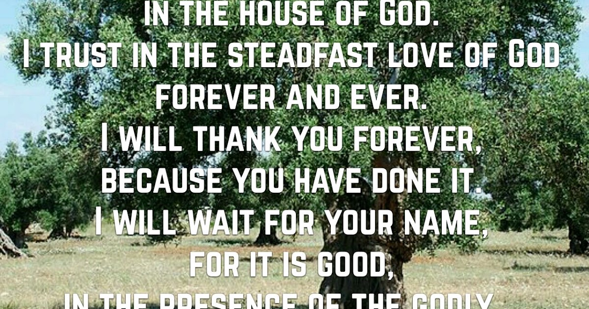 Walking with Jesus: Day 51: Matthew 22:33-46 & Psalm 52 - Why Are We ...