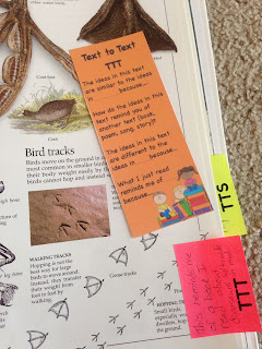 Stand Out Teaching Strategies: Making Reading Connections Through Text ...