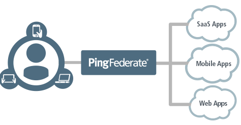 Ping Authentication - Software Testing Concept