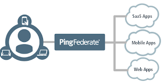 Ping Authentication - Software Testing Concept