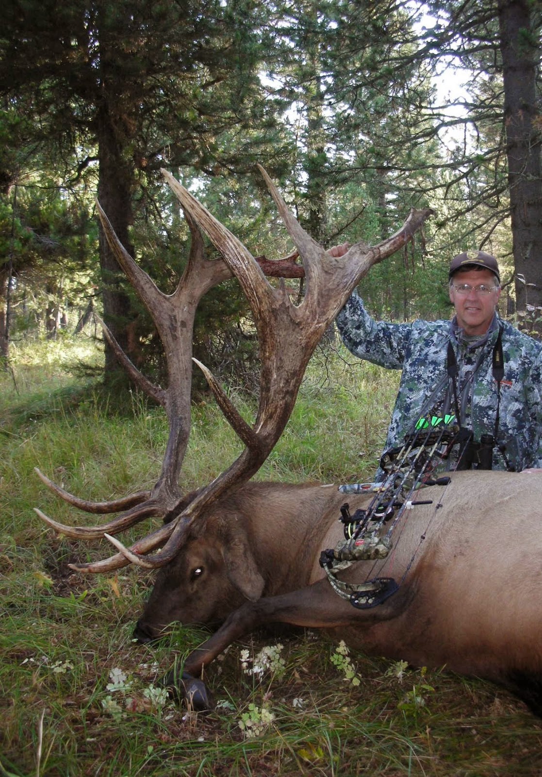 Pro Tracker Archery System: Giant Elk Trophy Pictures