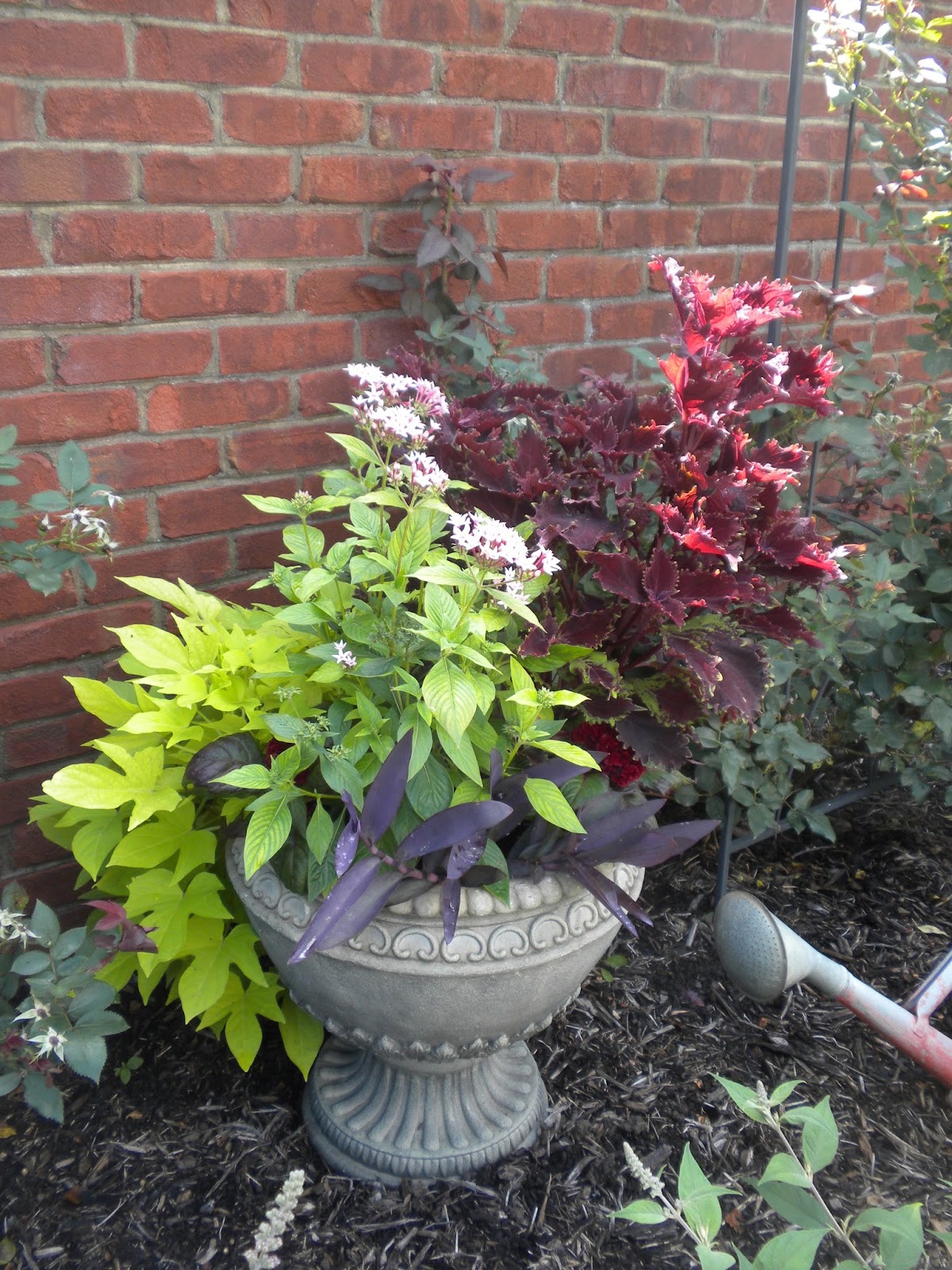 Panoply: Mid-summer Home and Garden Snippets