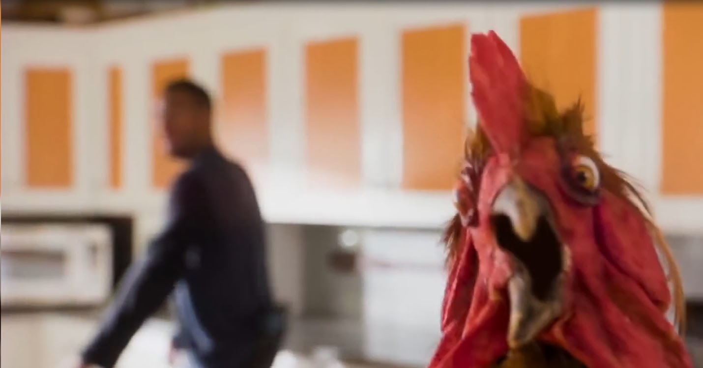 A Hopeless Search for Laughs in 2014 Film Trailers ~ Anthony Balducci's ...