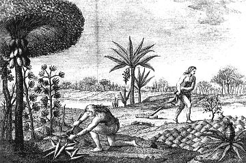 Andres Felipe Peláez - PEI: Ecología y territorio