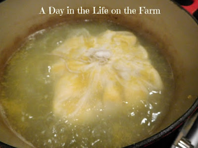 A Day in the Life on the Farm: Lemon Shred inspired by The Practice ...