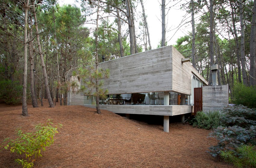 CASA DE CEMENTO: CASA DE DISEÑO