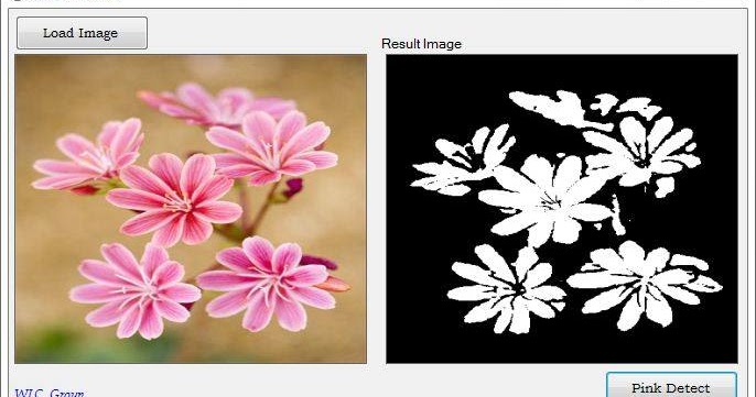 C# - Image Processing (Pink Color Filtering Algorithm) | WLC_Programming Knowledge
