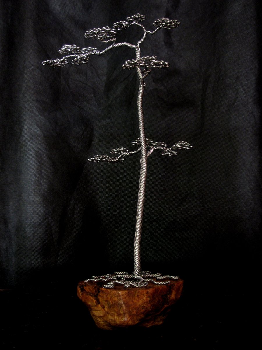 Simply Creative: Wire Sculpture Bonsai Tree by Kevin Iris