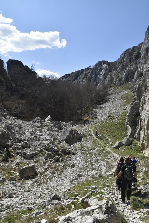 Mendiko osterak: Arnaba zirkularra Gastiain herritik
