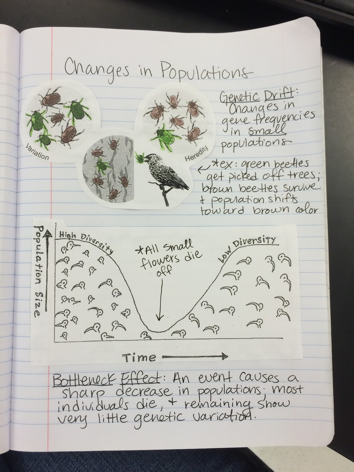 I Teach Science and...: Introduction to Interactive Notebooks