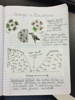I Teach Science and...: Introduction to Interactive Notebooks