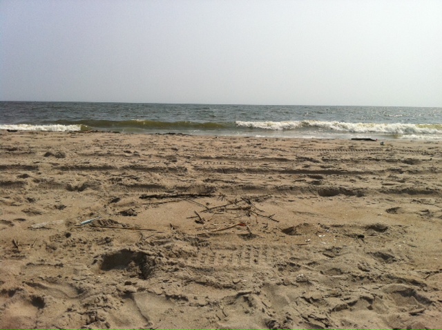 From The Inside: Stories from the beach (Fort Tilden)