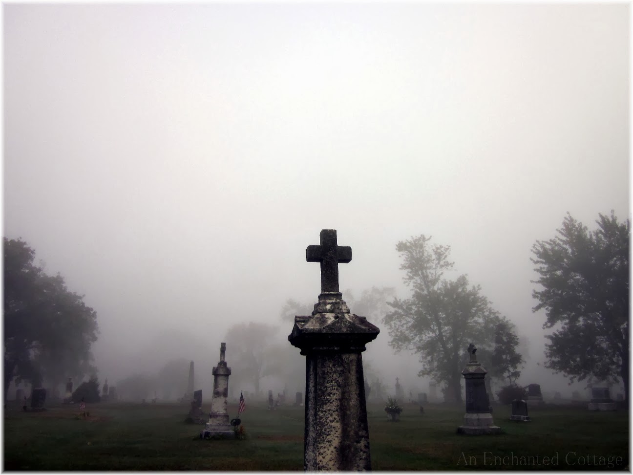 An Enchanted Cottage: A foggy morning walk...