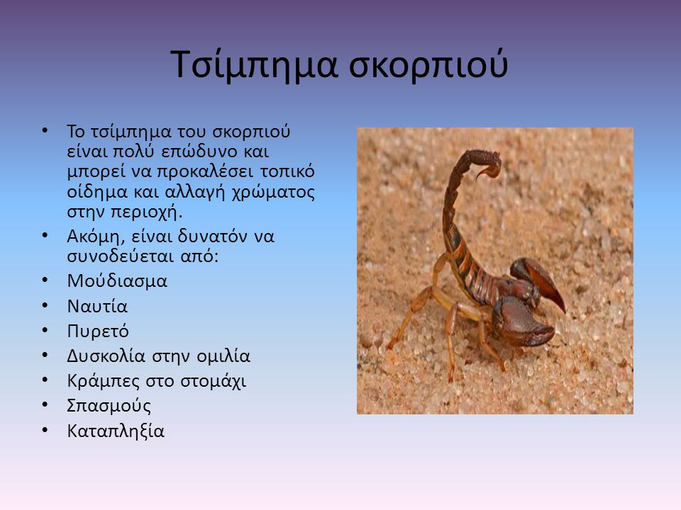 ΤΙ ΠΡΕΠΕΙ ΝΑ ΚΑΝΕΤΕ ΣΕ ΠΕΡΙΠΤΩΣΗ ΤΣΙΜΠΗΜΑΤΟΣ ΑΠΟ ΣΦΗΚΑ, ΜΕΛΙΣΣΑ Ή ...