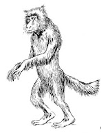 AmethJera's Broom With A View: Appalachian Devil Monkeys