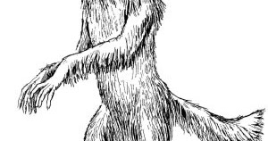 AmethJera's Broom With A View: Appalachian Devil Monkeys