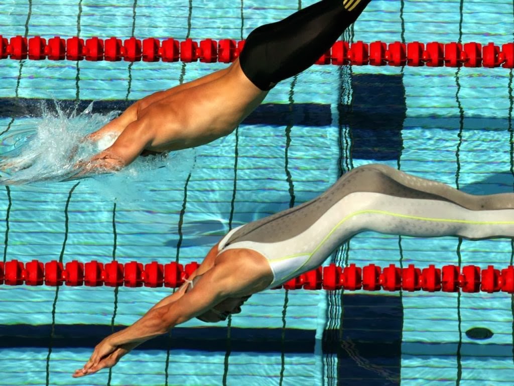 Deporte como forma de vida: salidas en natación ( crol, braza, mariposa)